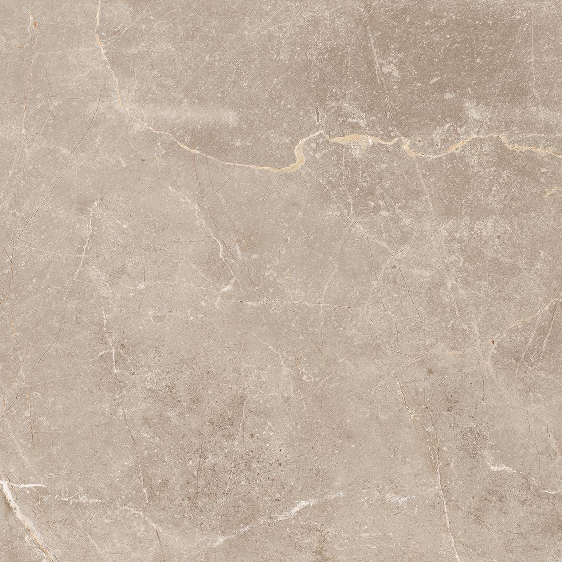 GNS Collection– Tile Australia