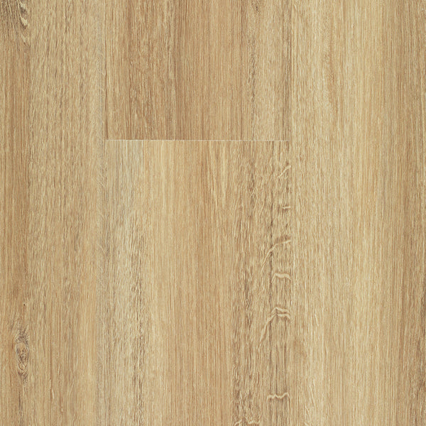 ENOTS ANISE – Tile Australia