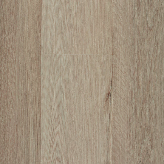 ENOTS DUSTY ROSE– Tile Australia